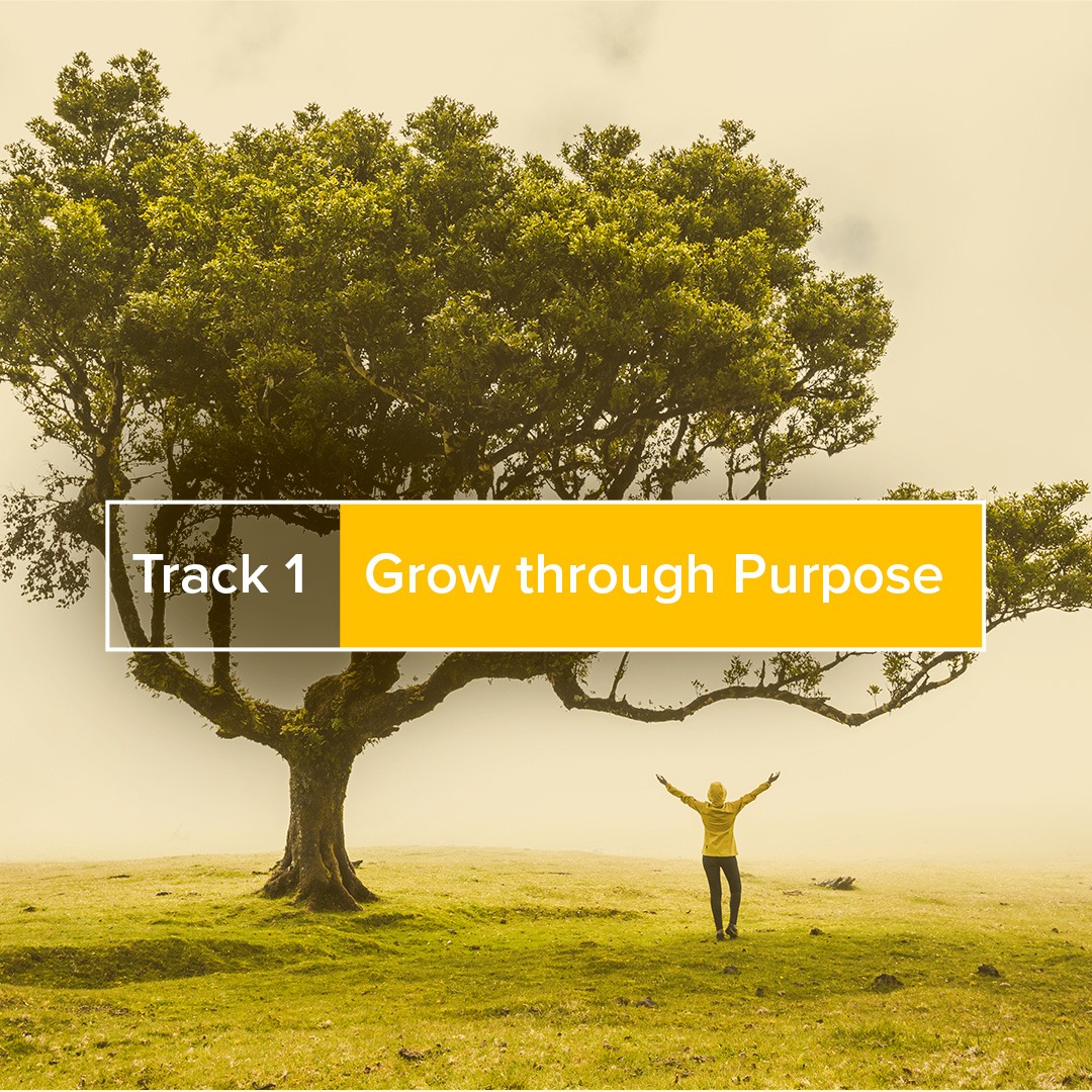 Conference – why-stories